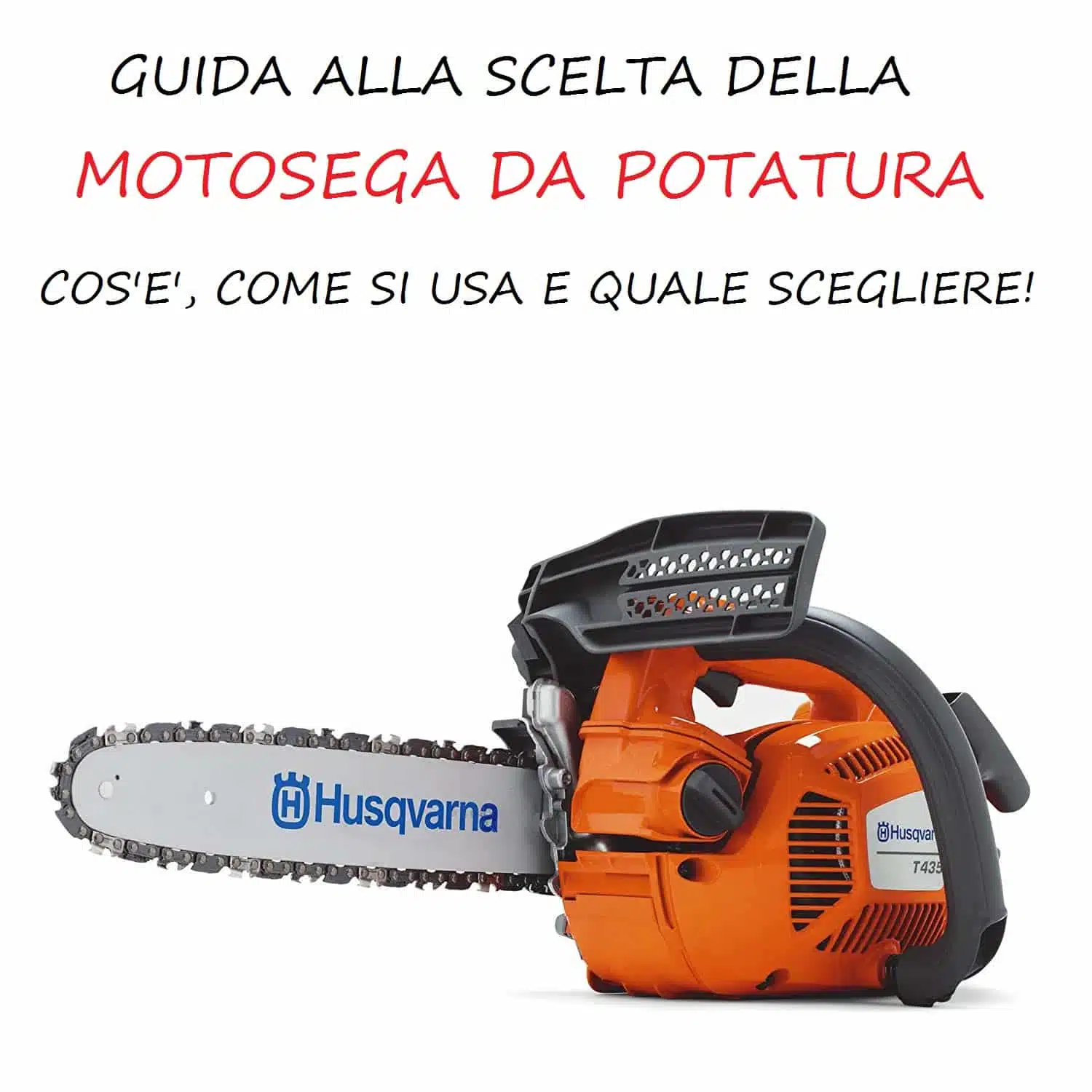 logo motoseghe da potatura guida alla scelta – Un Orso in Campagna