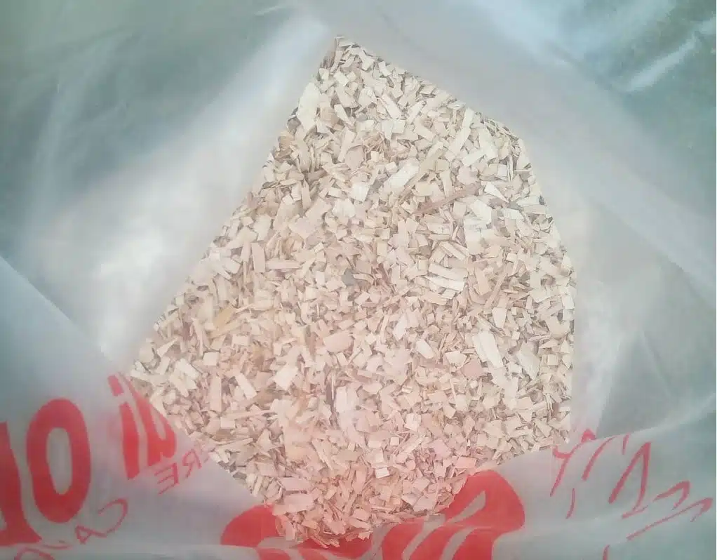 cippato – Un Orso in Campagna