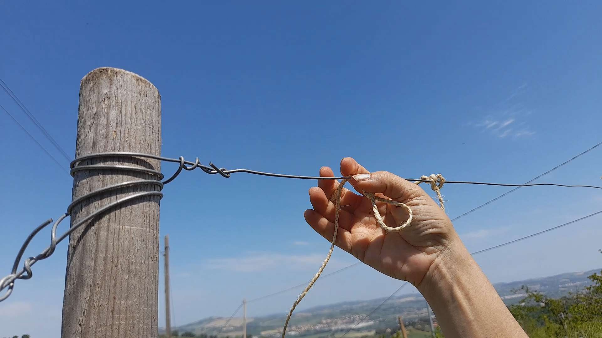 nodo sul filo dei pali – Un Orso in Campagna