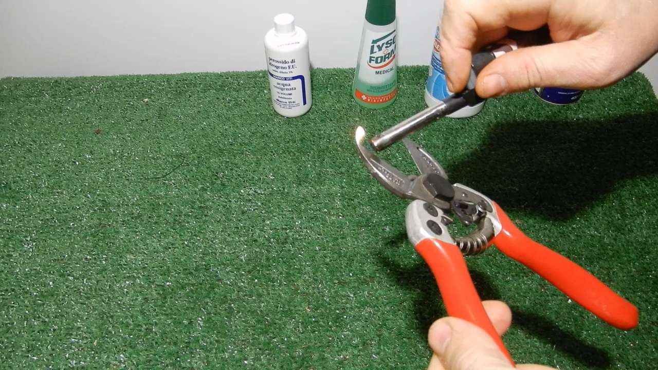 come disinfettare le forbici da potatura 5 – Un Orso in Campagna