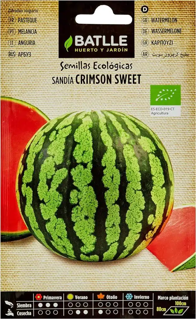 Come coltivare l'anguria nell'orto: 5 consigli! – Un Orso in Campagna